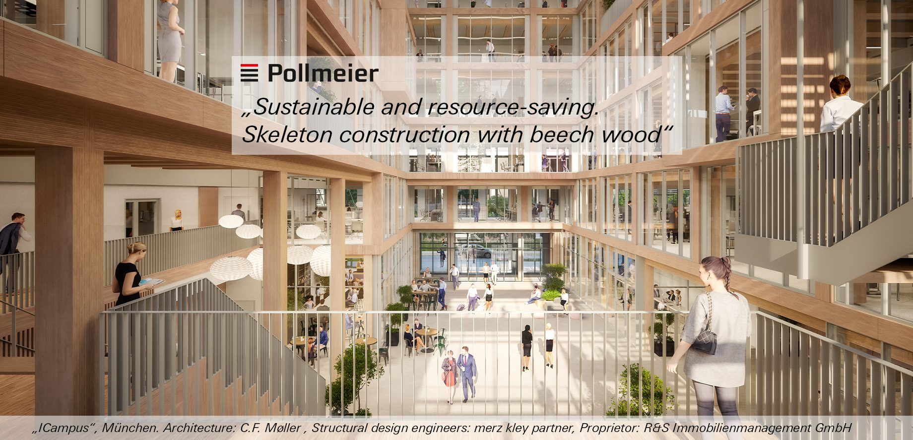 BauBuche Panel - Pollmeier