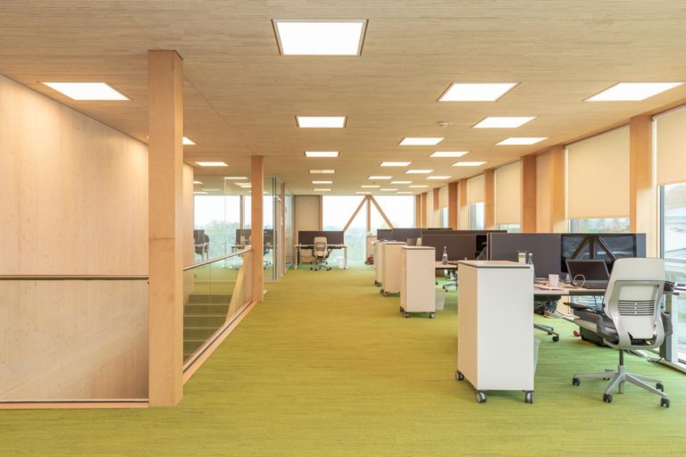 BauBuche - Pollmeier