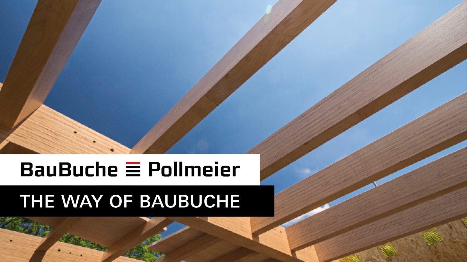 BauBuche - Pollmeier