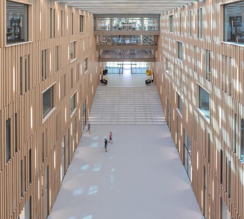 BauBuche panel - Pollmeier